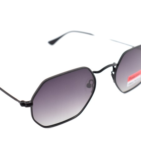 POLAR VIEW SUNGLASSES PV110C